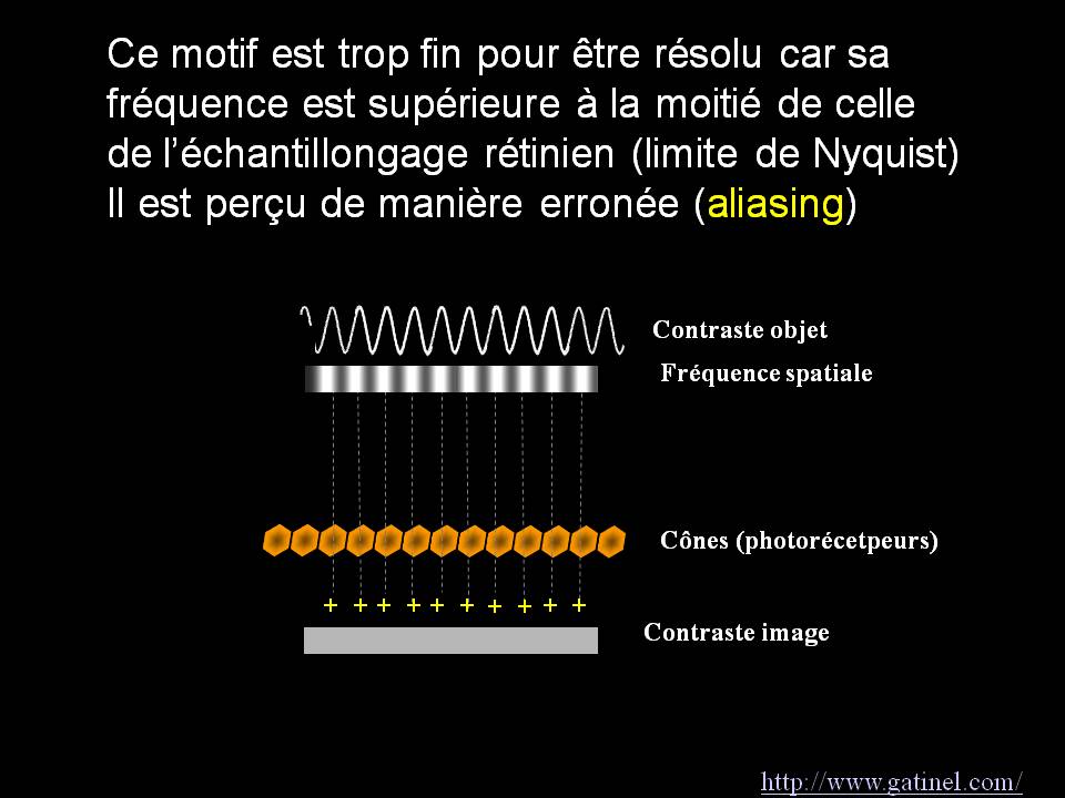 Nyquist (théorème de) - Docteur Damien Gatinel
