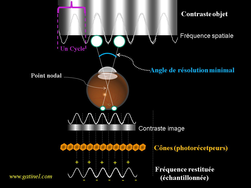 Acuité visuelle, résolution et pouvoir séparateur - Docteur Damien Gatinel