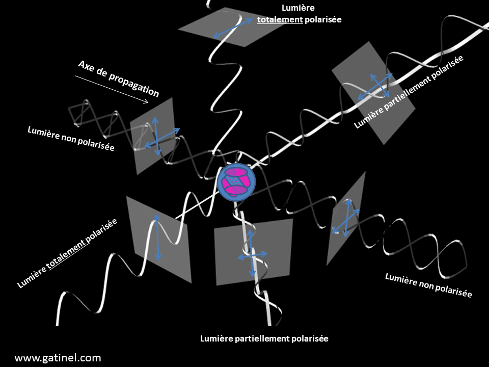 Polarisation de la lumière - Docteur Damien Gatinel