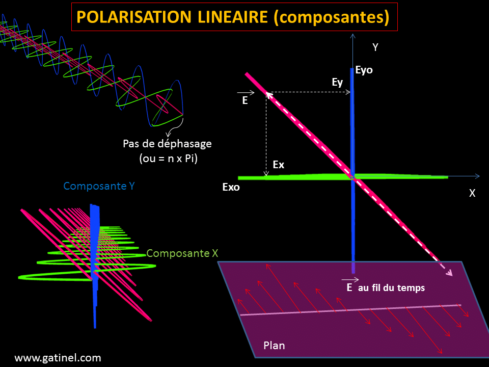 Polarisation de la lumière - Docteur Damien Gatinel