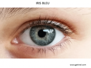 Iris et couleur des yeux - Docteur Damien Gatinel